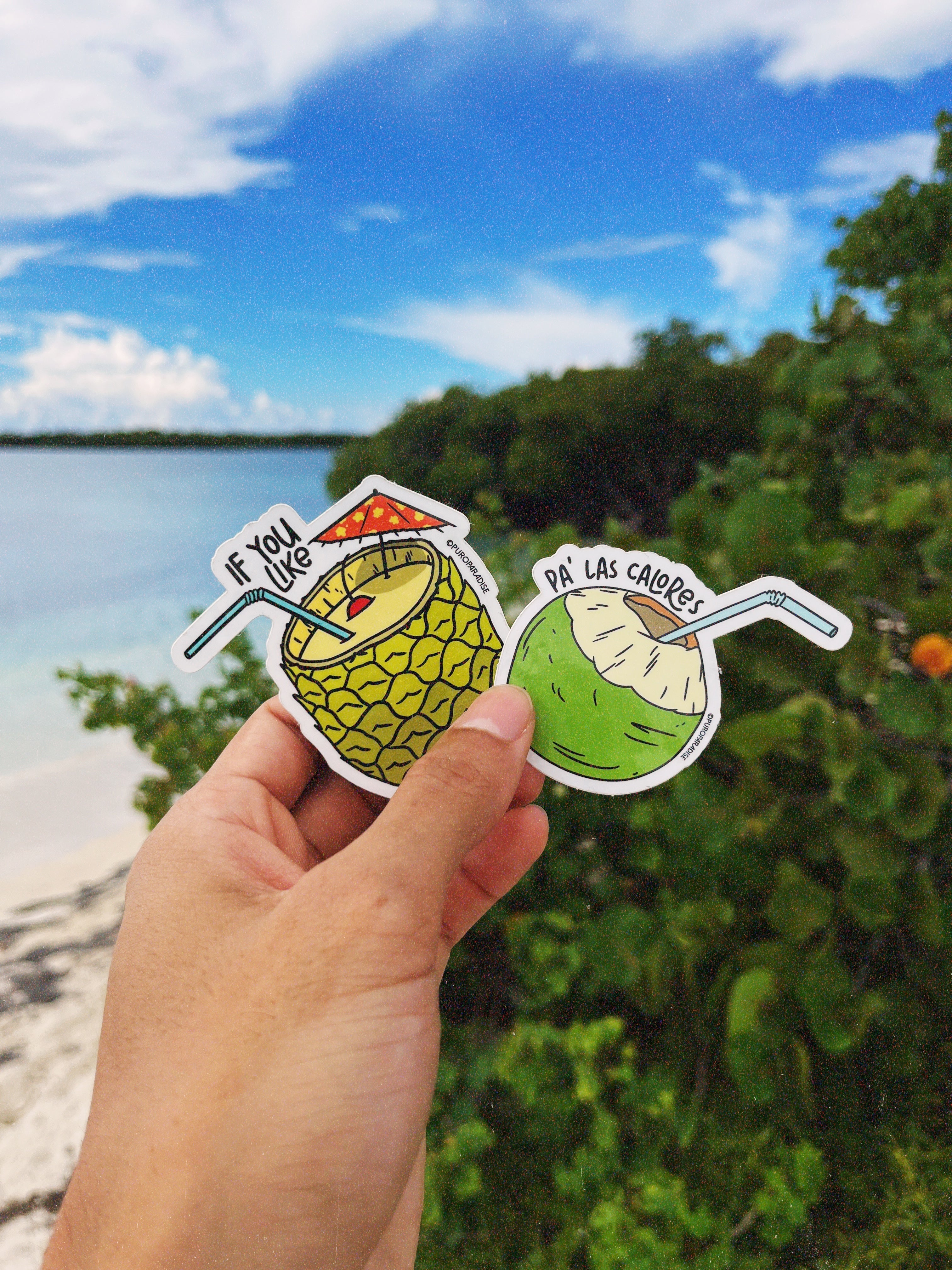 Stickers – Puro Paradise